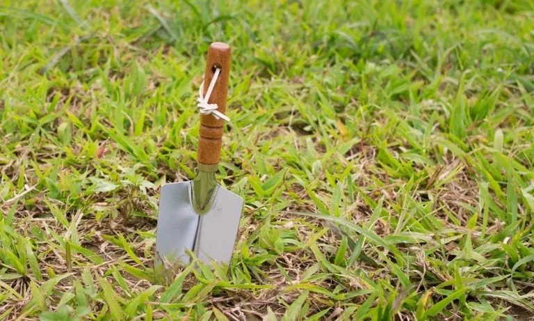 What Are The Different Types Of Shovels And Their Anatomy
