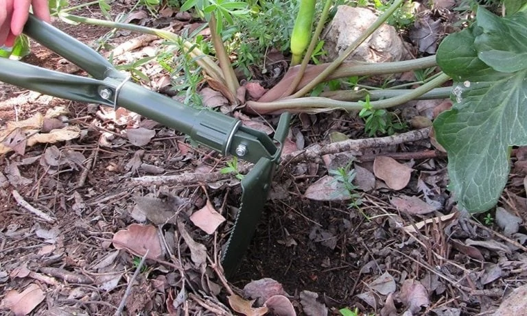 What Are The Different Types Of Shovels And Their Anatomy