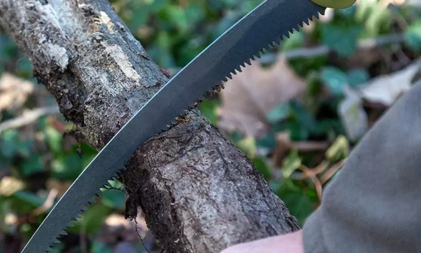 How to use a pole saw? To cut high branches | Bangingtoolbox – Banging ...