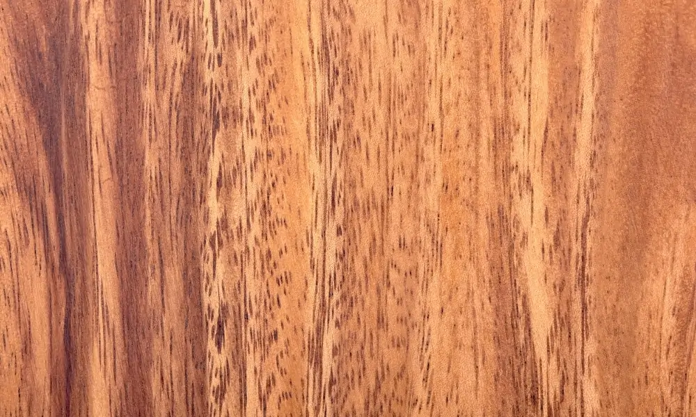 Teak Or Acacia Hardwood For Woodworking? | Banging Toolbox